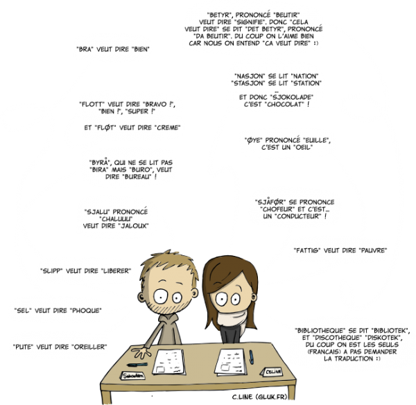 Norsk leksjon : les faux-amis, et les bons-amis des français – Gluk